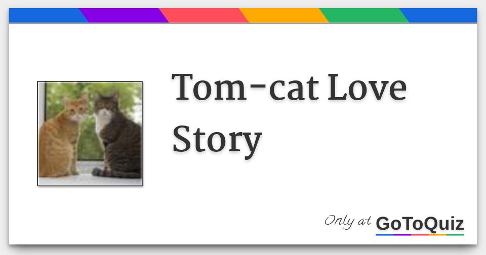 Tom-cat Love Story