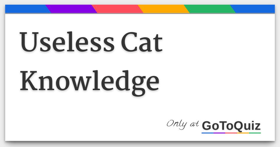 Useless Cat Knowledge