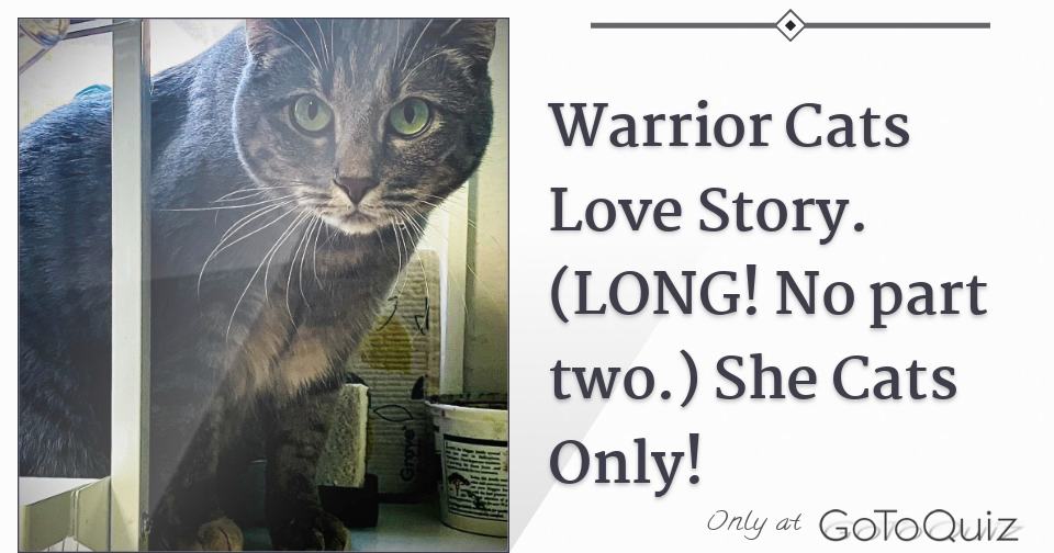 Warrior Cats Love Story. (LONG! No part two.) She Cats Only!