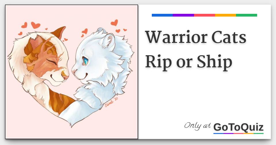 Warrior Cats Rip or Ship