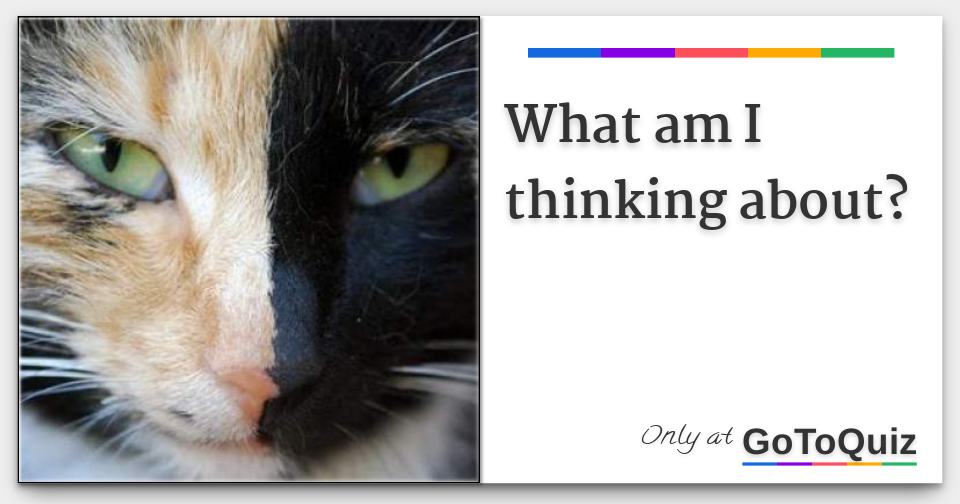 What am I thinking about?