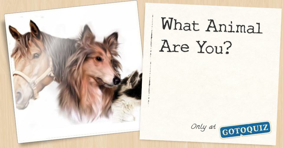 What Animal Are You?