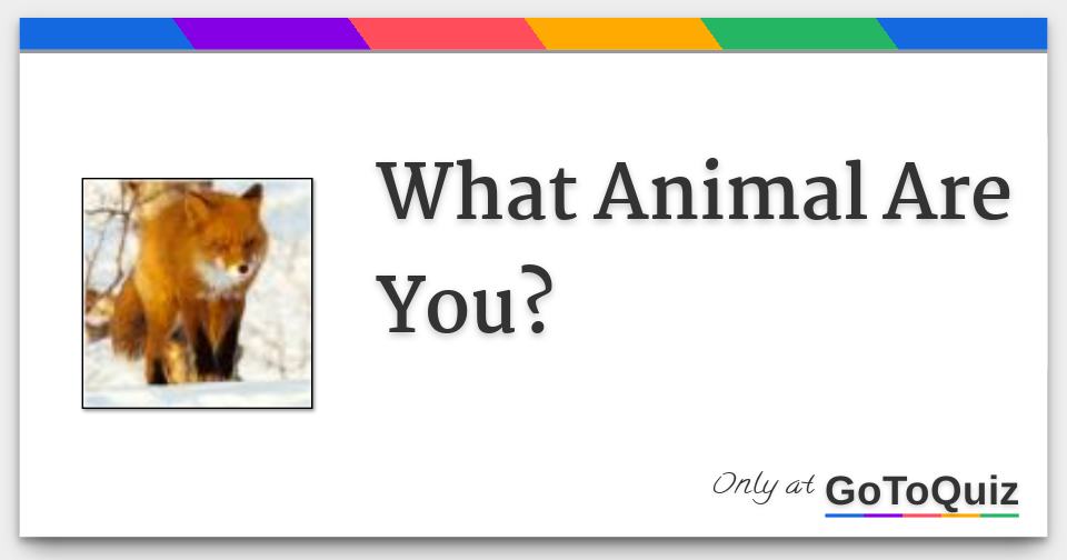 What Animal Are You?