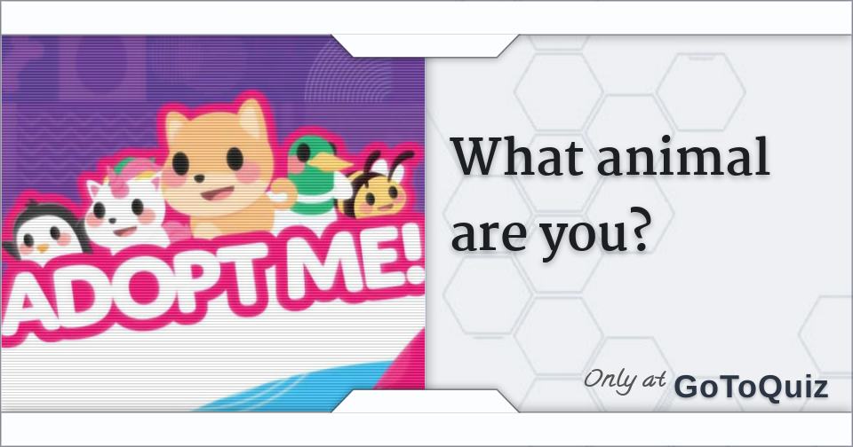 What animal are you?