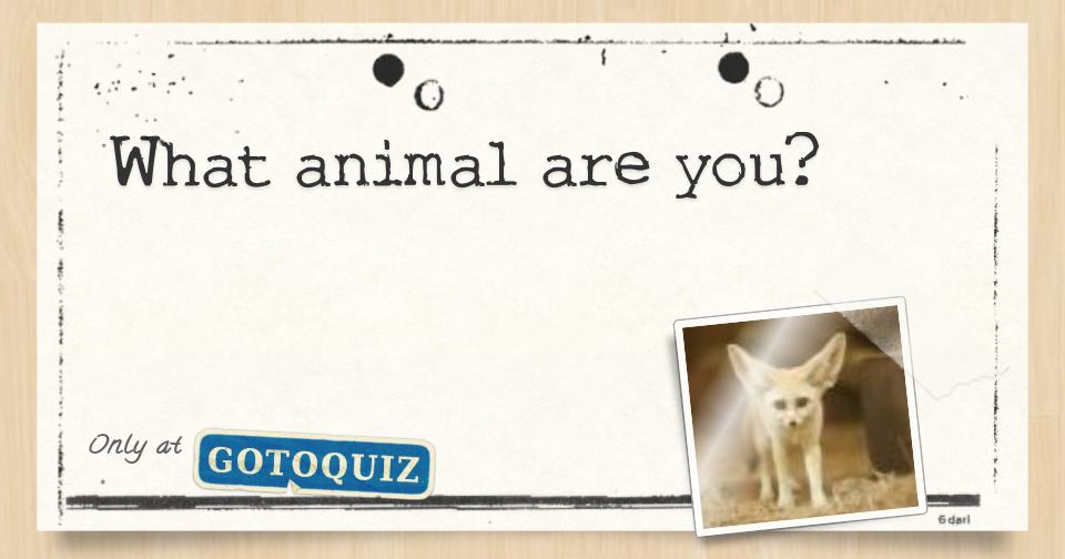 What animal are you?