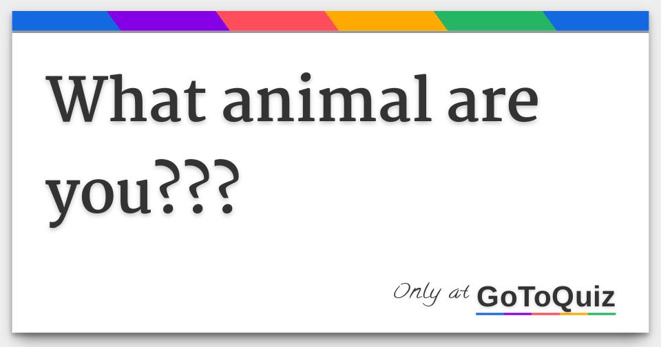What animal are you???