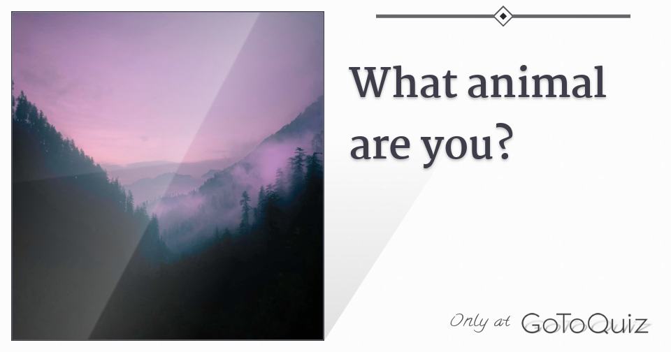 What animal are you?