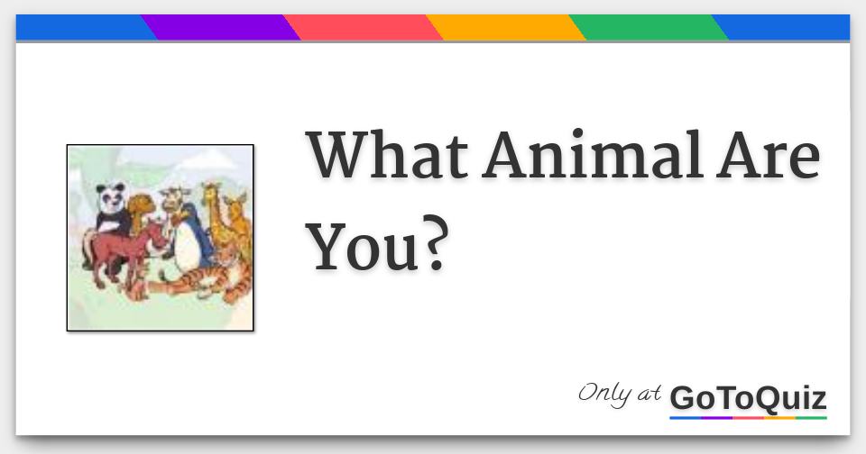 What Animal Are You?