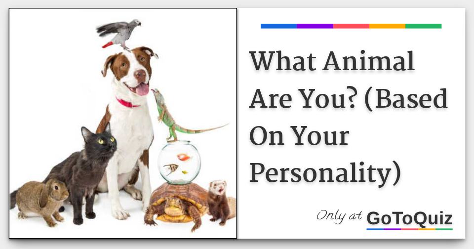 What Animal Are You? (Based On Your Personality)