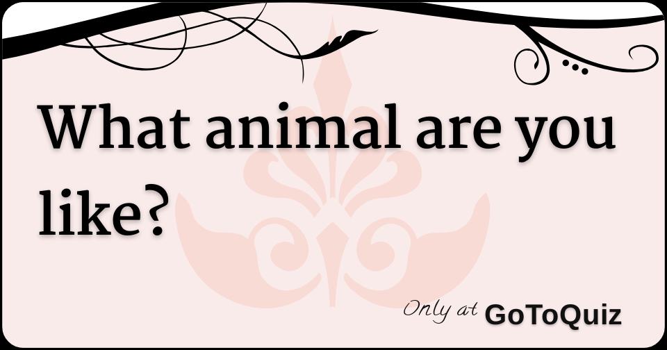 What animal are you like?