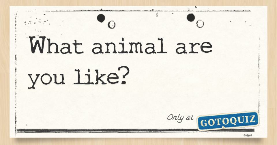what animal are you like?