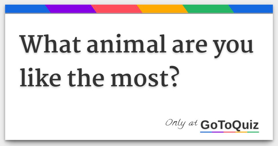 What animal are you like the most?