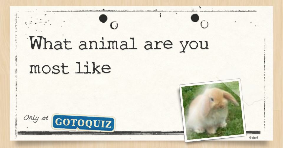 What animal are you most like