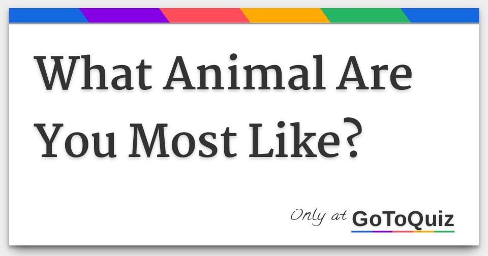 What Animal Are You Most Like?