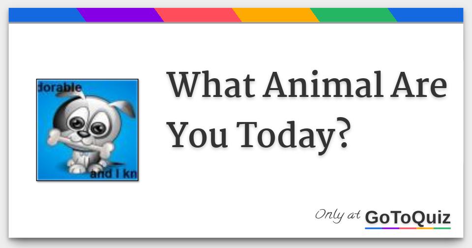 What Animal Are You Today?
