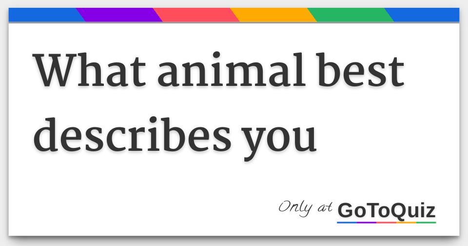 what animal best describes you