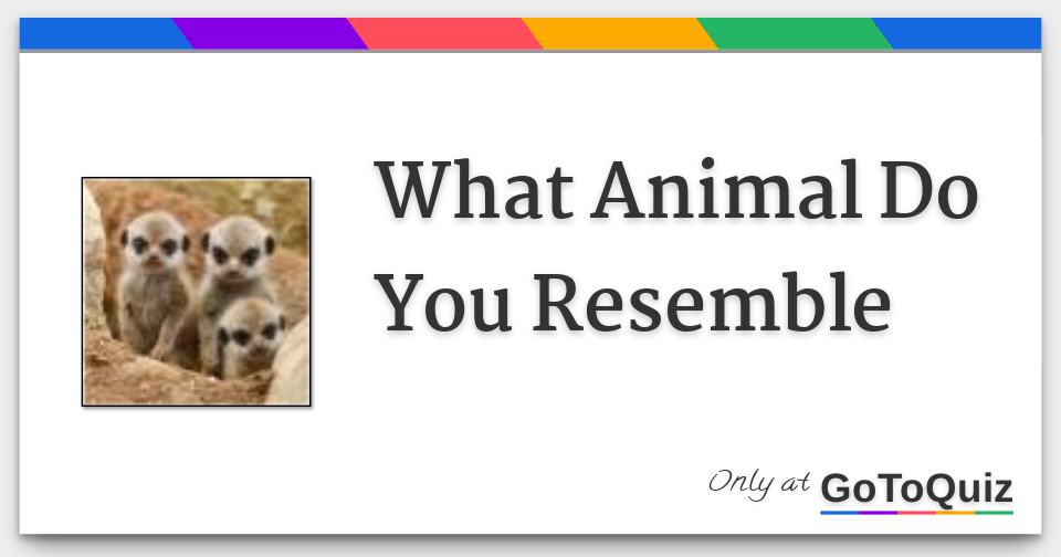 What Animal Do You Resemble