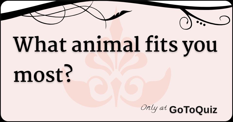 What Animal Fits You Most What Animal Fits You Most
