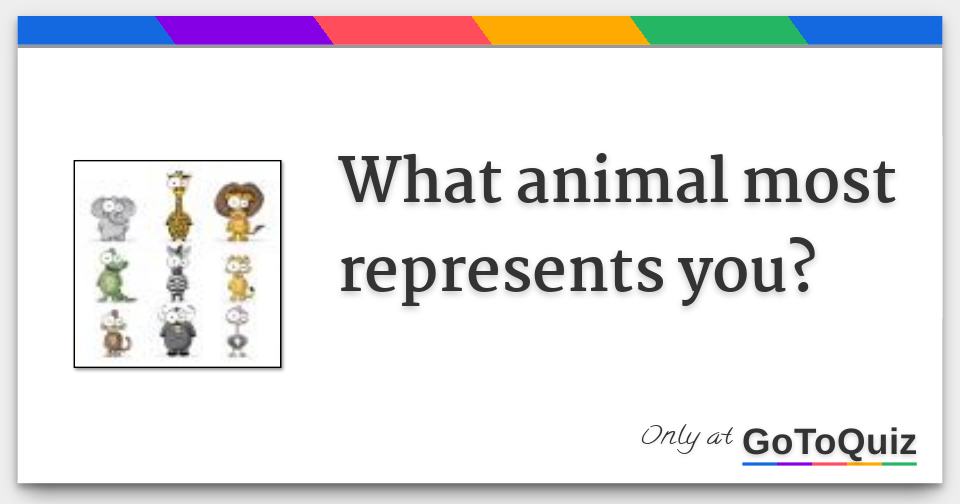 What animal most represents you?