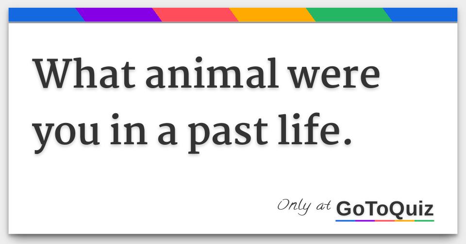 What animal were you in a past life.