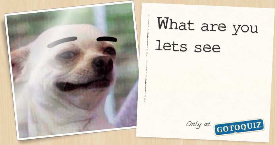 what are you lets see