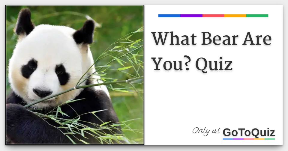What Bear Are You? Quiz