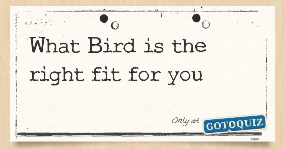 What Bird is the right fit for you