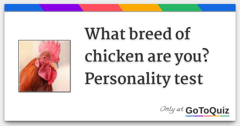 What breed of chicken are you? Personality test