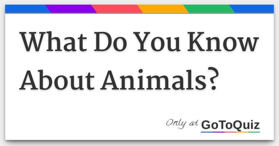 What Do You Know About Animals?
