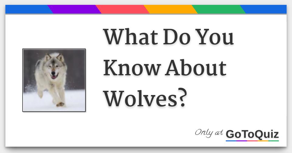 What Do You Know About Wolves