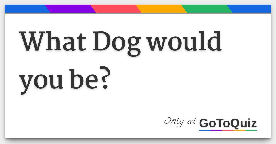 What Dog would you be?