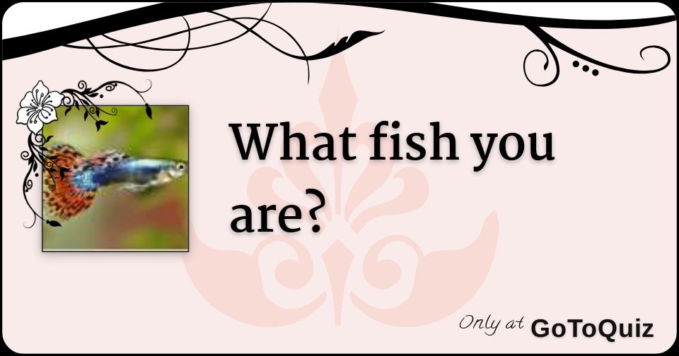 what fish you are?