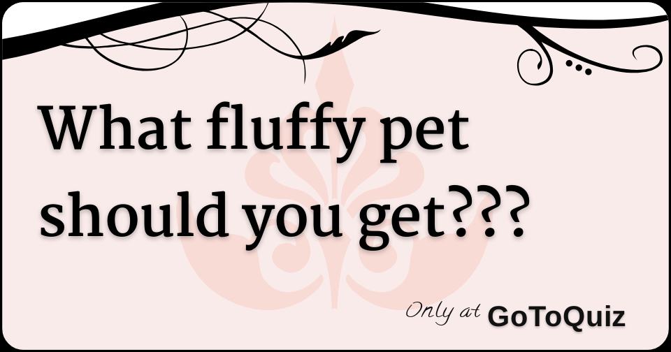 What fluffy pet should you get???