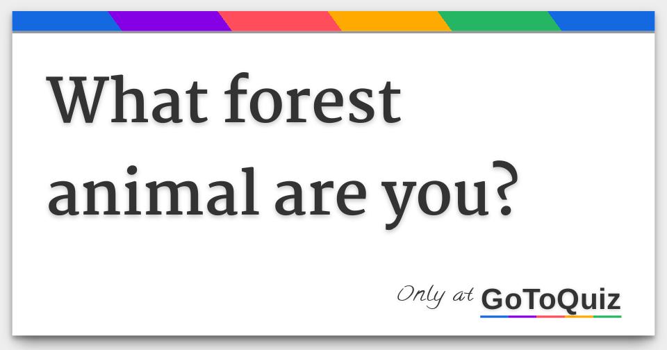 What forest animal are you?
