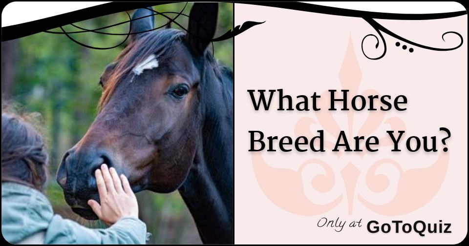 What Horse Breed Are You?