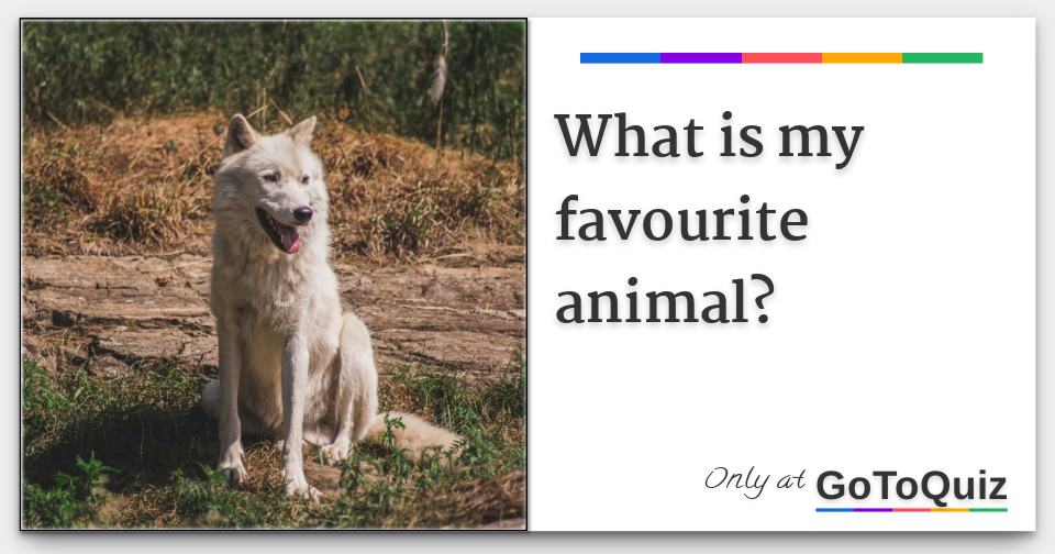 What is my favourite animal?
