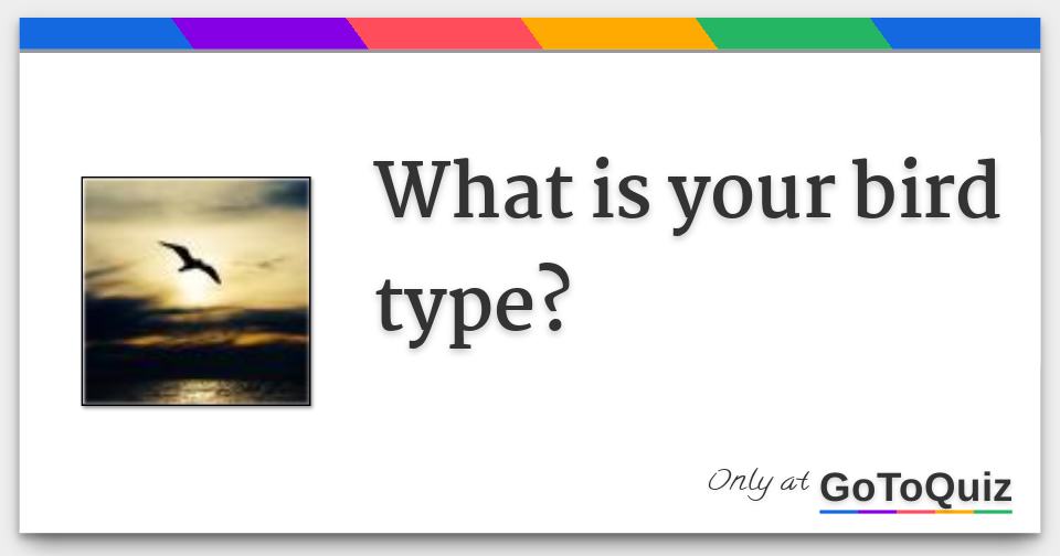 What is your bird type?