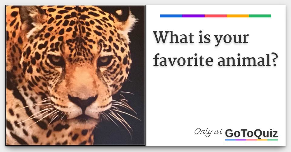 What is your favorite animal?