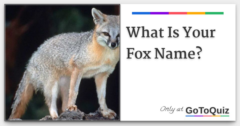 What Is Your Fox Name?