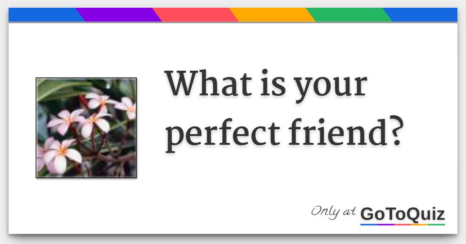 What is your perfect friend?