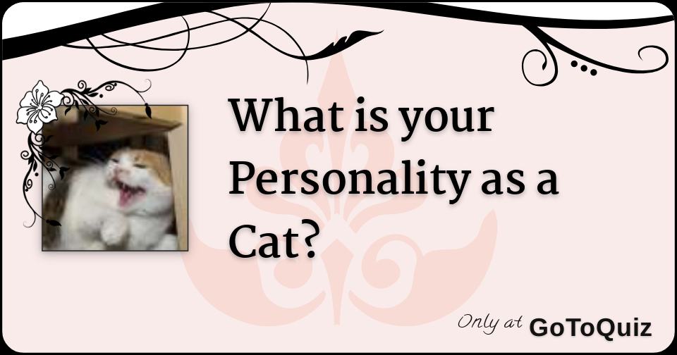 What is your Personality as a Cat?