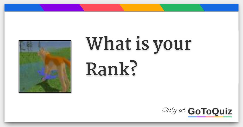 What is your Rank?