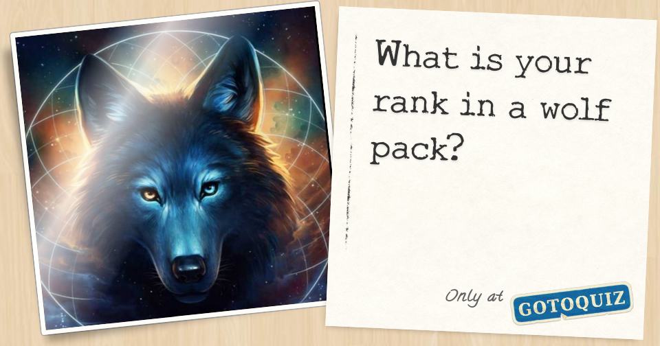what is your rank in a wolf pack?