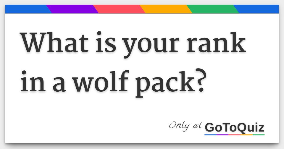 What is your rank in a wolf pack?