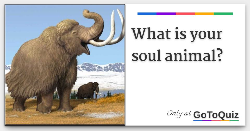 What is your soul animal?