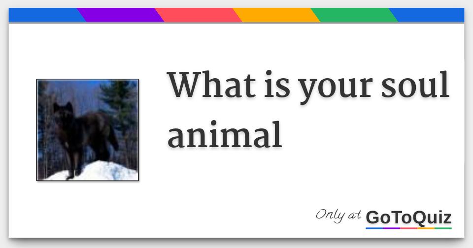 What is your soul animal