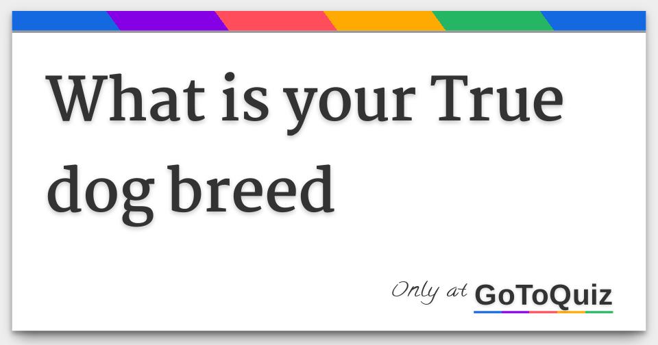 What is your True dog breed