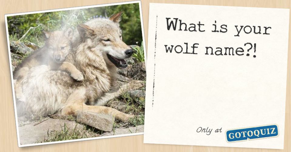 What is your wolf name?!