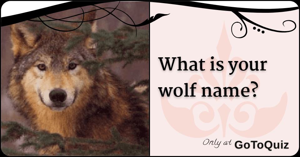 What is your wolf name?