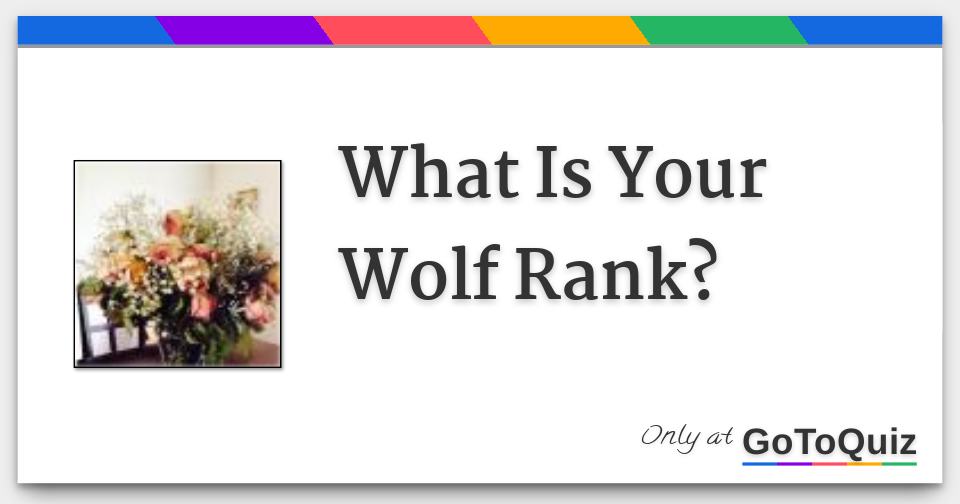 What Is Your Wolf Rank?